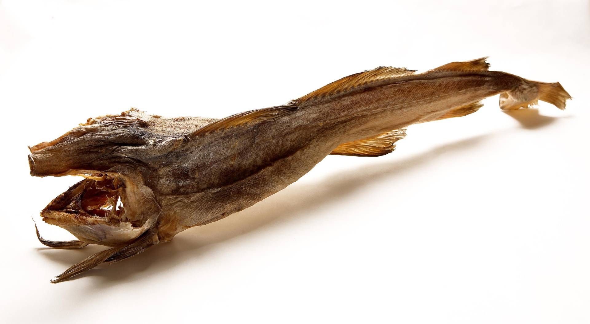 Alimenti: lo stoccafisso delle isole Lofoten diventa Dop