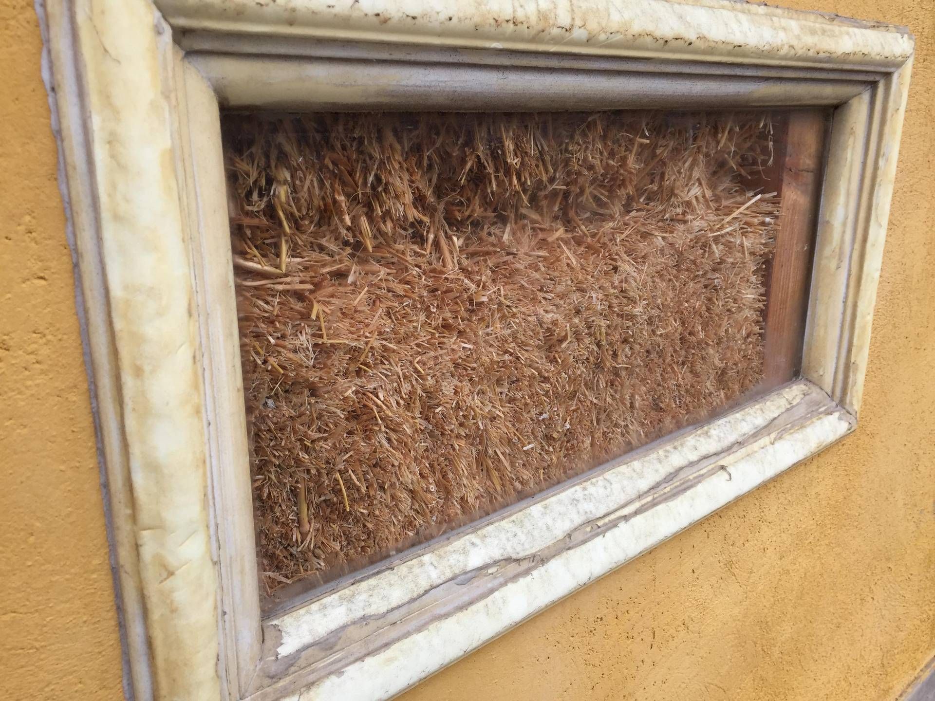 Quadraro, la 'borgata ribelle' di Roma tra street art e storia