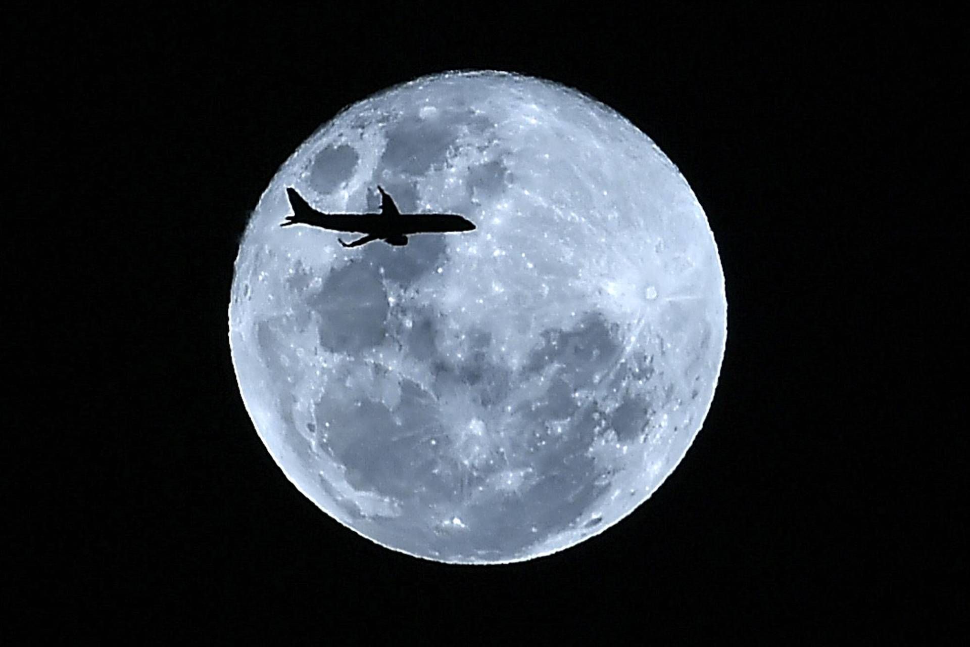 Pazzi per la Luna, 50 anni fa lo sbarco