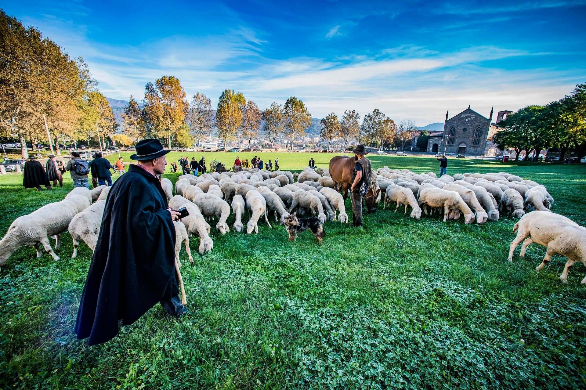'Parchi, pastori, transumanze e grandi vie delle civiltà'