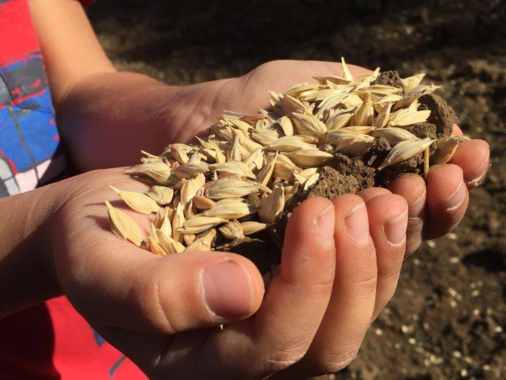 Naturasì e Seminare il futuro insieme per una semina collettiva