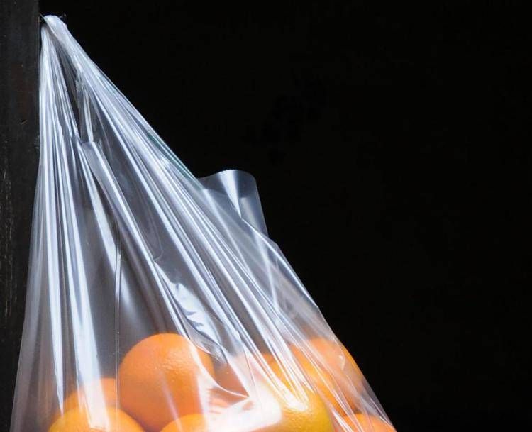 Sacchetti plastica monouso, Corte Ue boccia divieto italiano | RotoNotizie