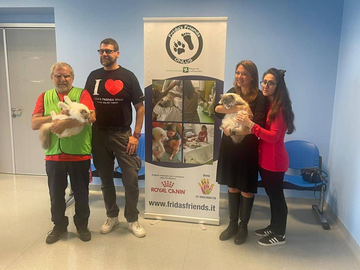 cat-therapy-milano.dwp