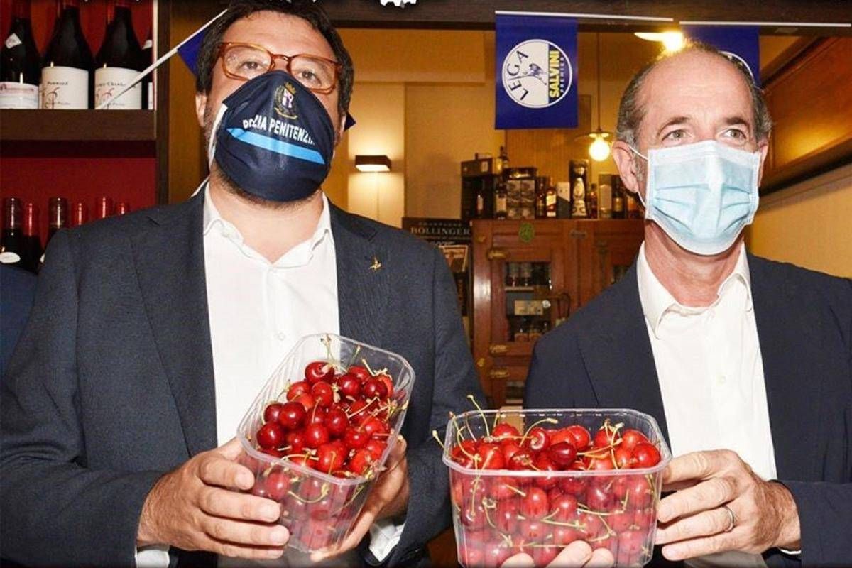 Salvini mangia ciliegie mentre Zaia parla, social scatenati Salvini mangia ciliegie mentre Zaia parla, social scatenati